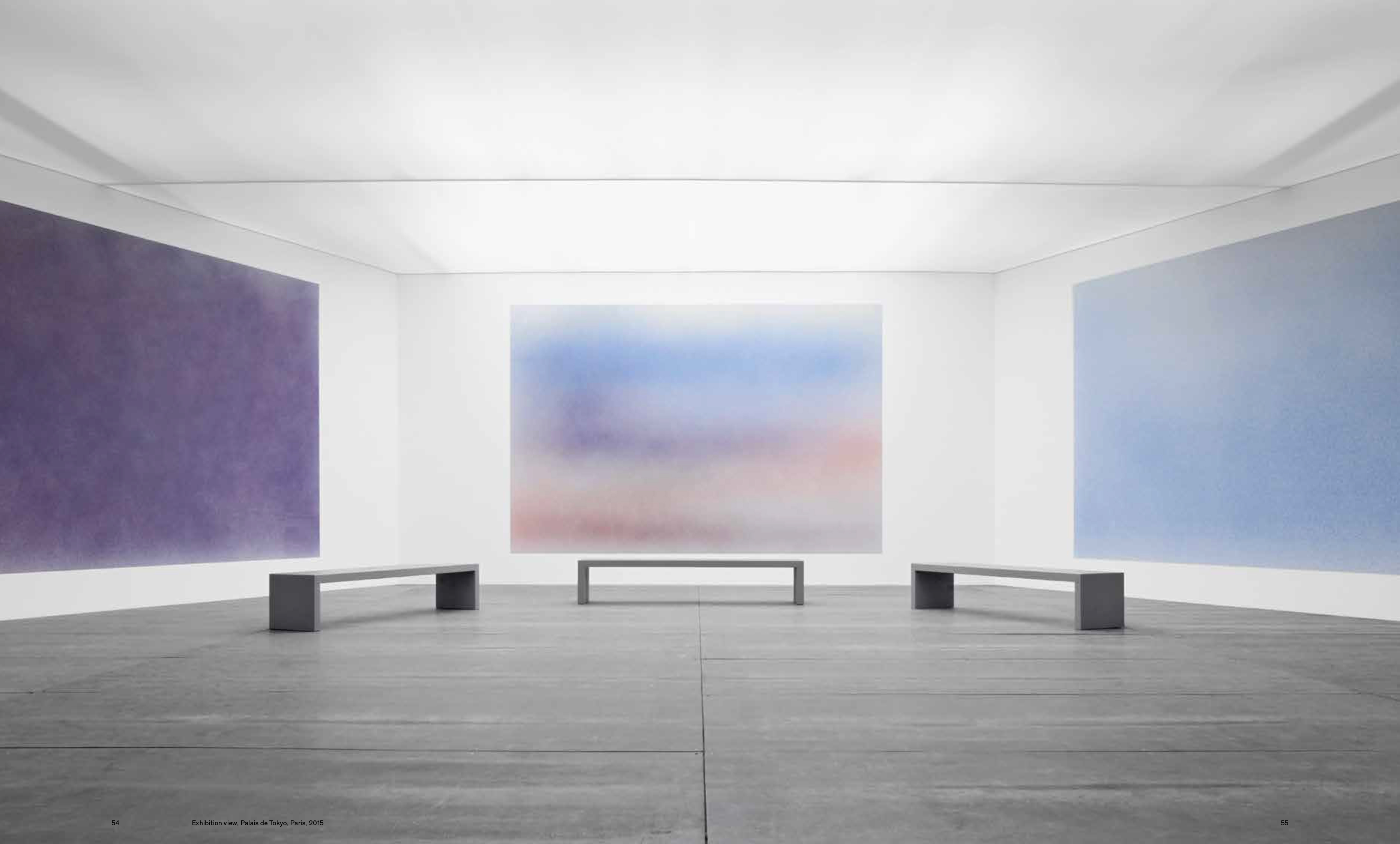 Isabelle Cornaro : - Les presses du réel (livre)