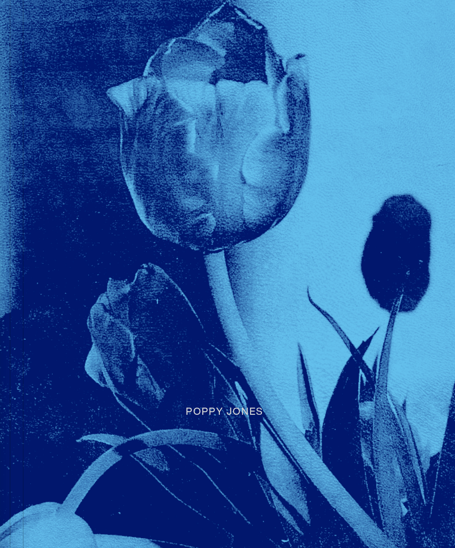 Poppy Jones : - Les presses du réel (livre)